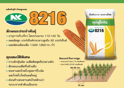 ข้าวโพดเลี้ยงสัตว์ -ข้าวโพดเลี้ยงสัตวเอ็นเค 6318